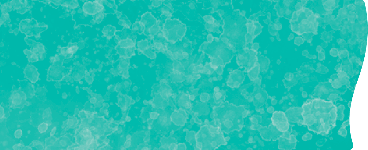 Luxury Apartment Amenities in Colorado Springs | VIM Living